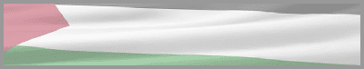 Forums | TORN