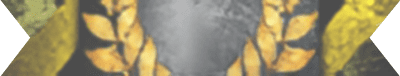 Forums | TORN